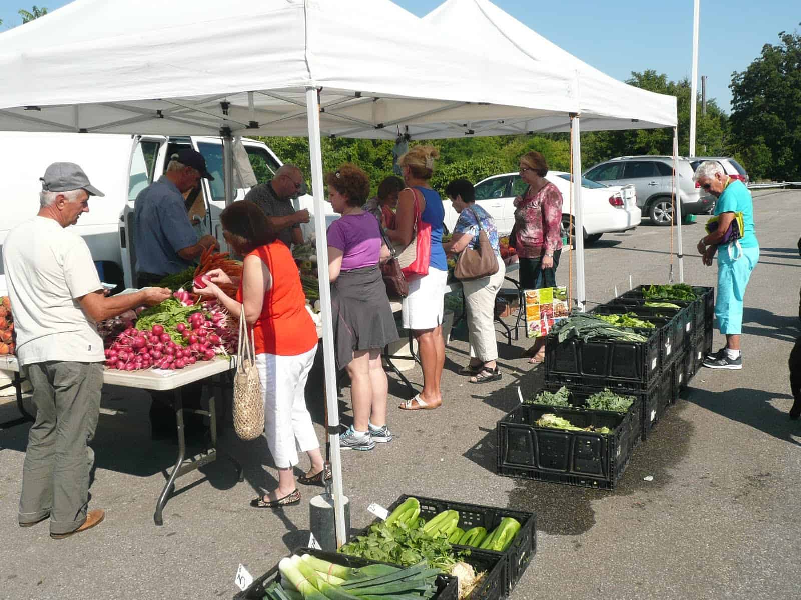 Woodbridge Village Farmers Market – Lisa Sinopoli Real Estate